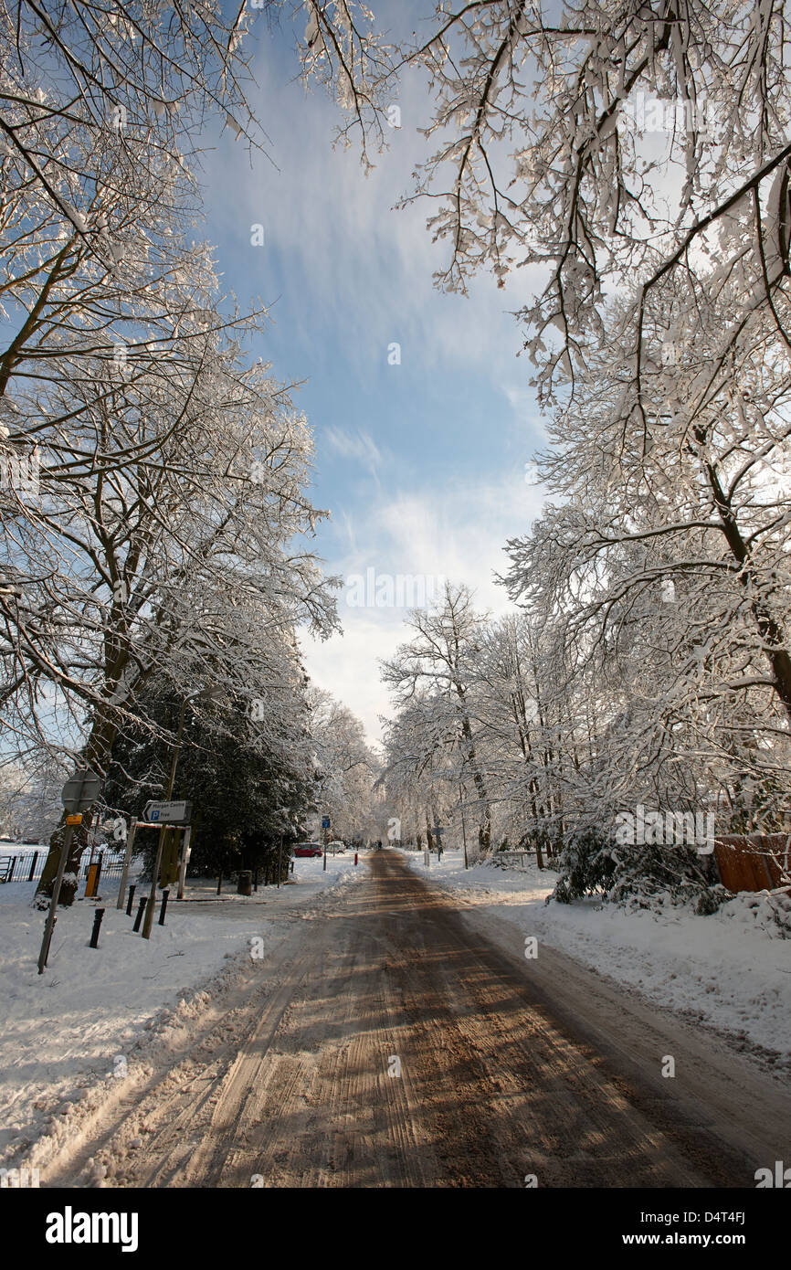 Crowthorne in Winter Stock Photo - Alamy