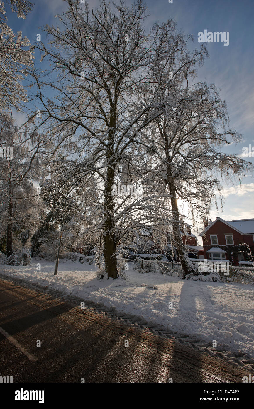 Crowthorne in Winter Stock Photo - Alamy