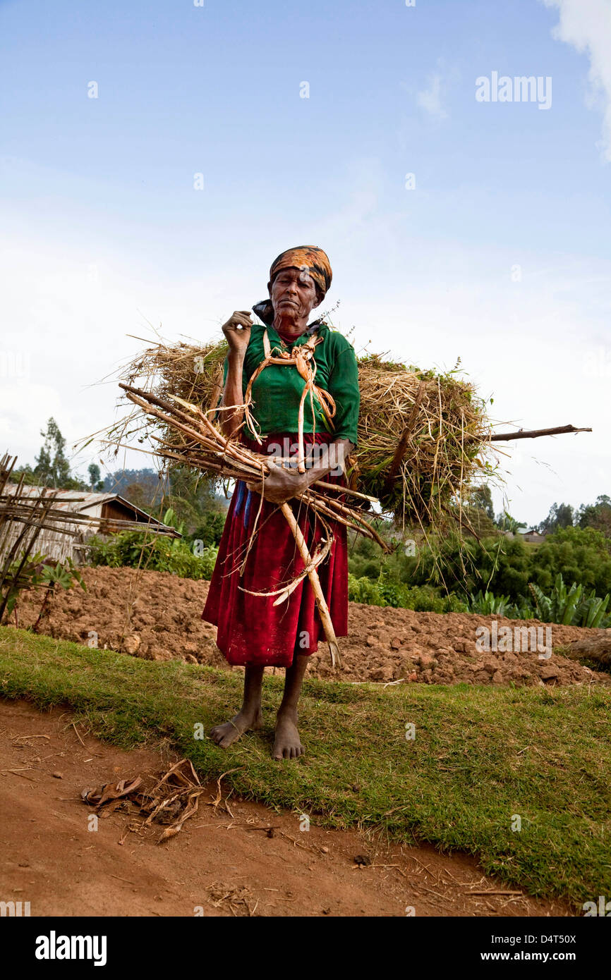 Dorze in the Guge Mountains, Ethiopia Stock Photo - Alamy