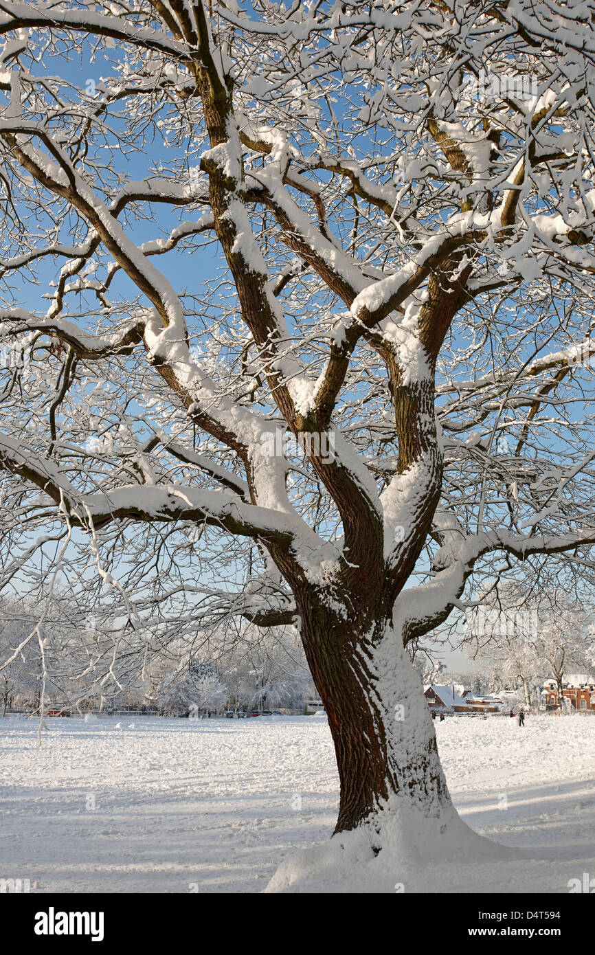 Crowthorne in Winter Stock Photo - Alamy