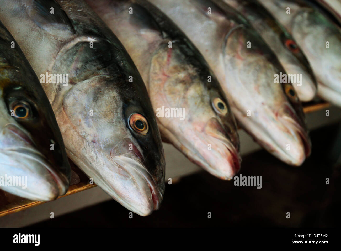 Queue heads hi-res stock photography and images - Alamy