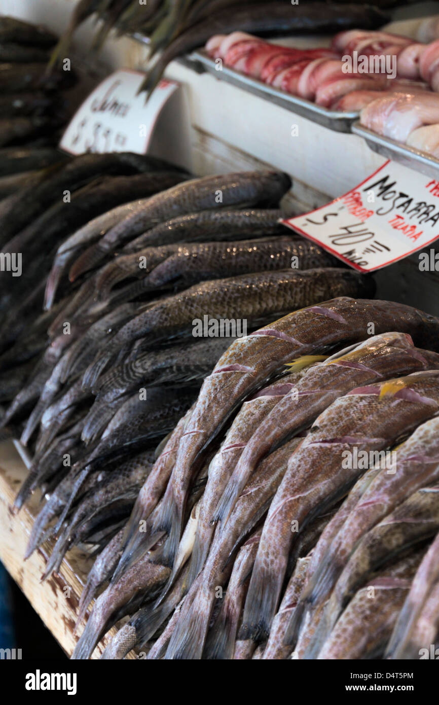 A pile of fish in a market Stock Photo - Alamy