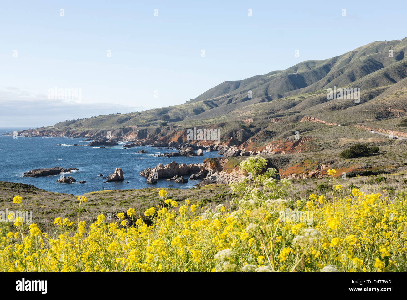 Big Sur coastline, Garrapata State Park, California Stock Photo - Alamy