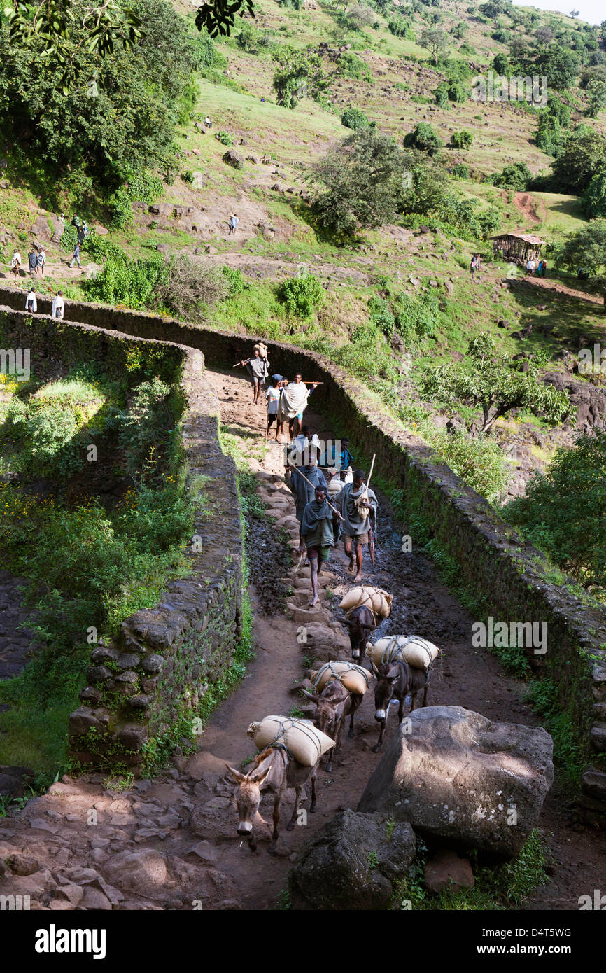 Traffic bahir dar ethiopia hi-res stock photography and images - Alamy