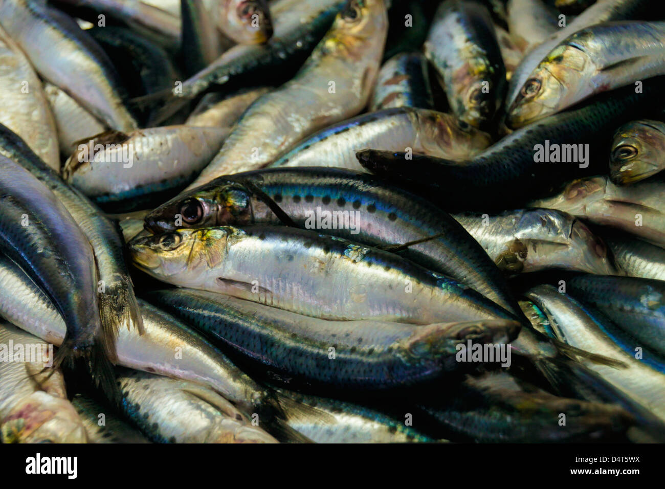 Two fish in a pile Stock Photo - Alamy