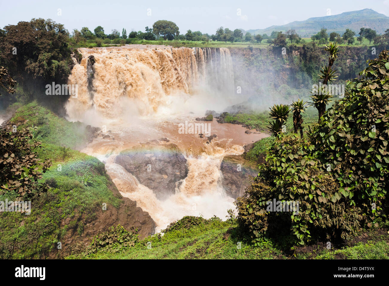 Tis Isat, the waterfall of the Blue Nile in Ethiopia Stock Photo - Alamy