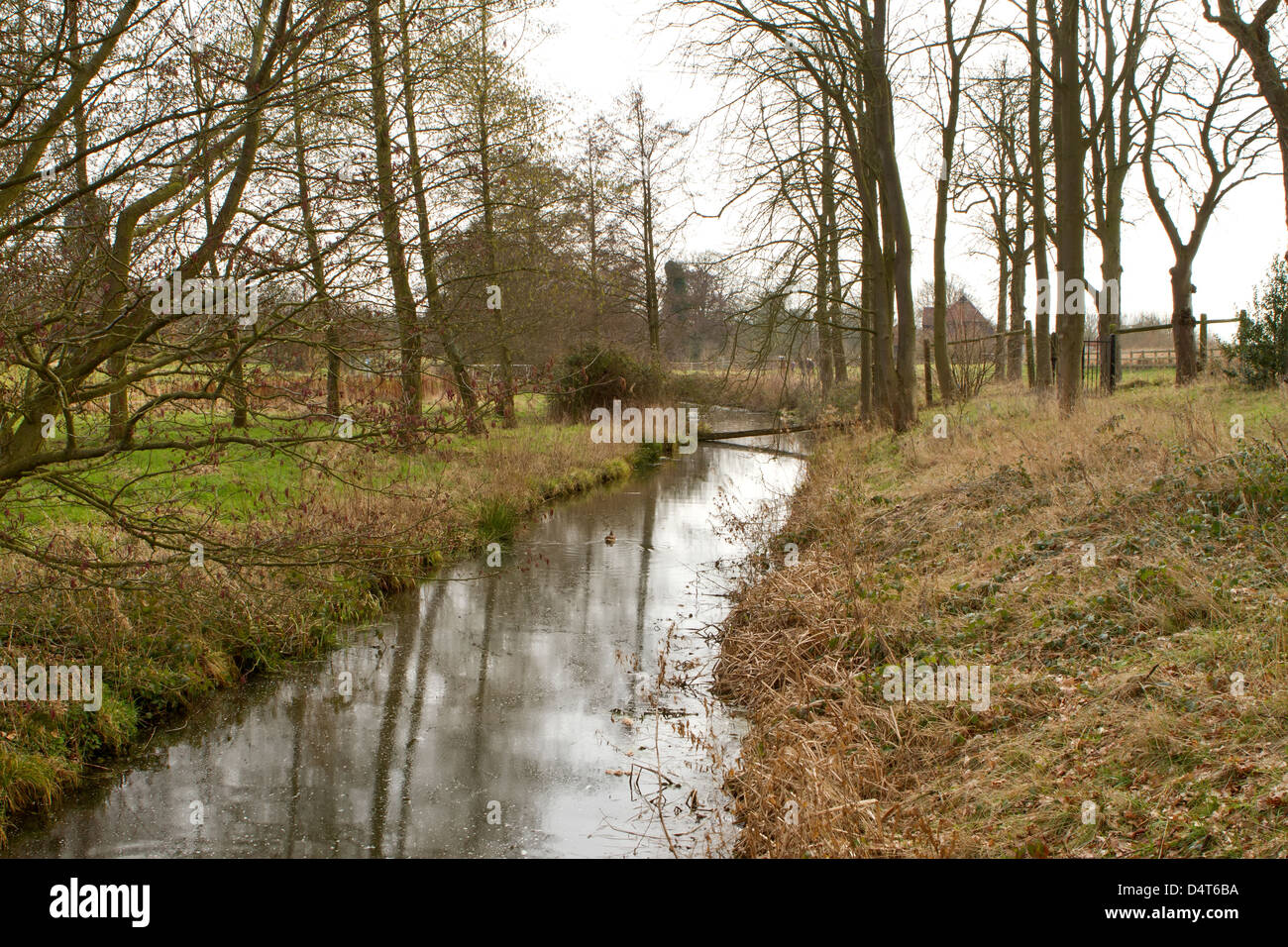 Marks hall gardens essex hi-res stock photography and images - Alamy