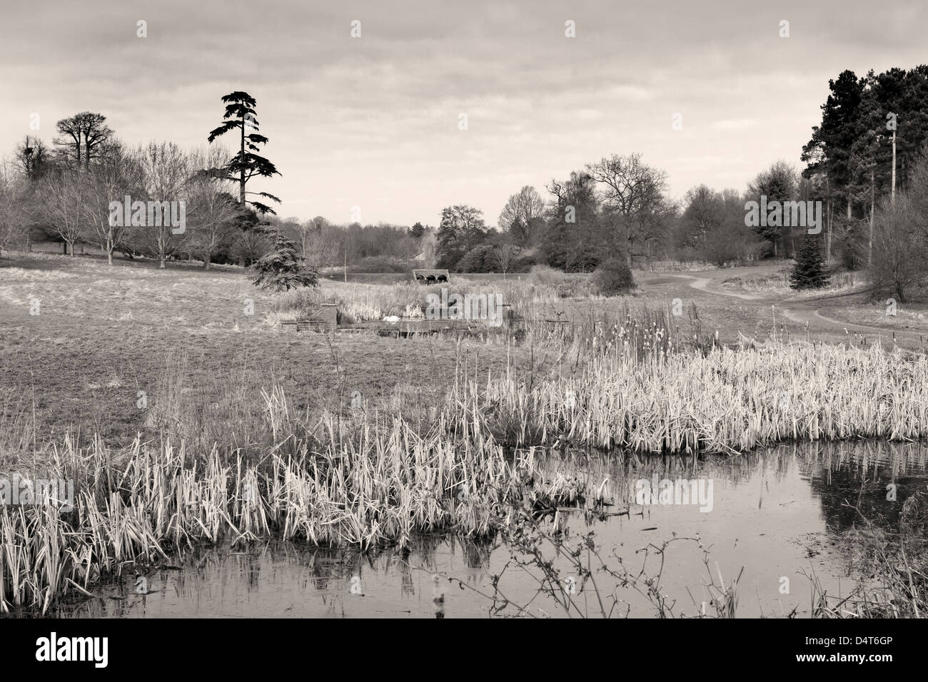 Marks hall gardens essex hi-res stock photography and images - Alamy