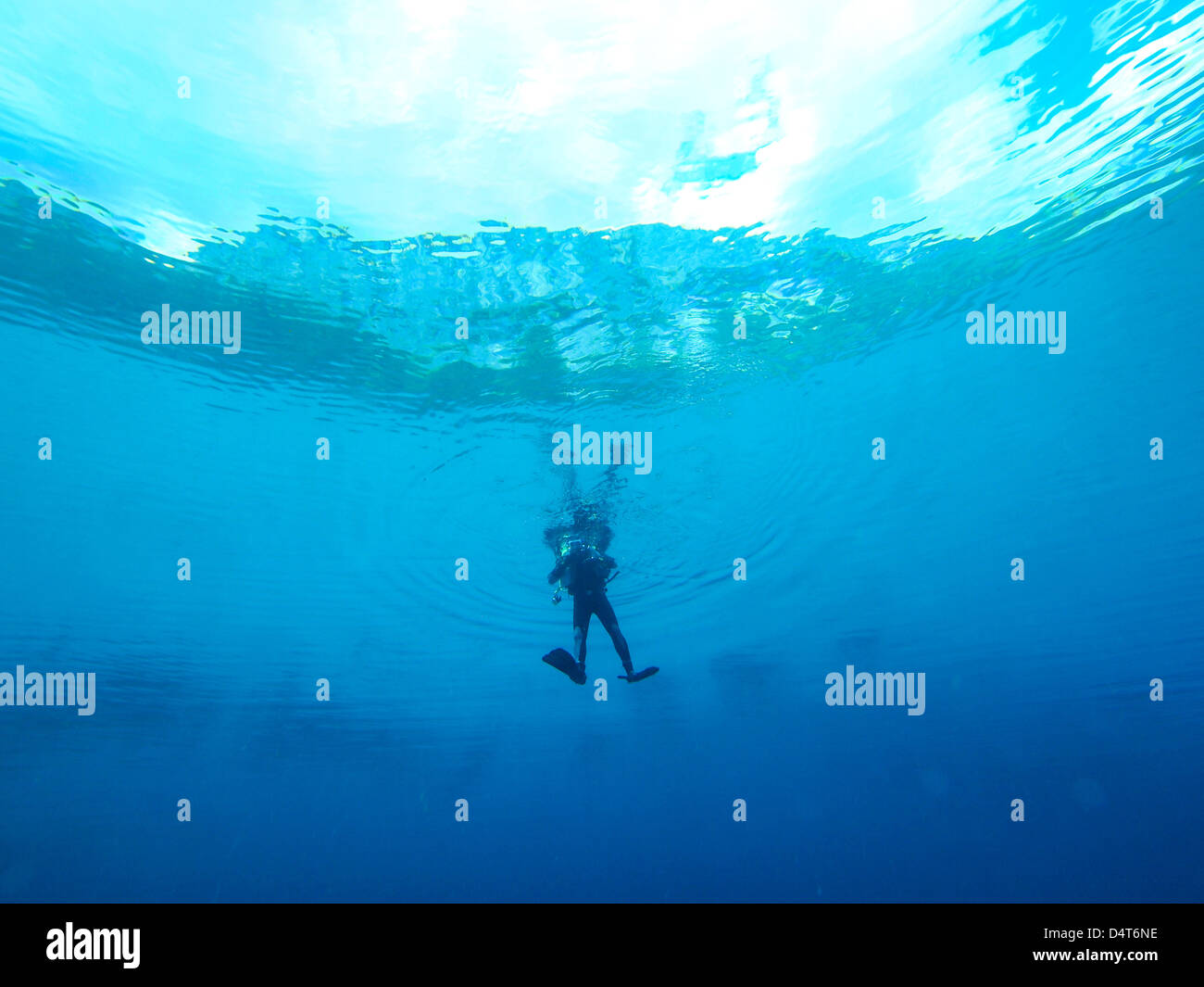 altitude diving in mountain lake Gruener See / gruner see. Austria half ...