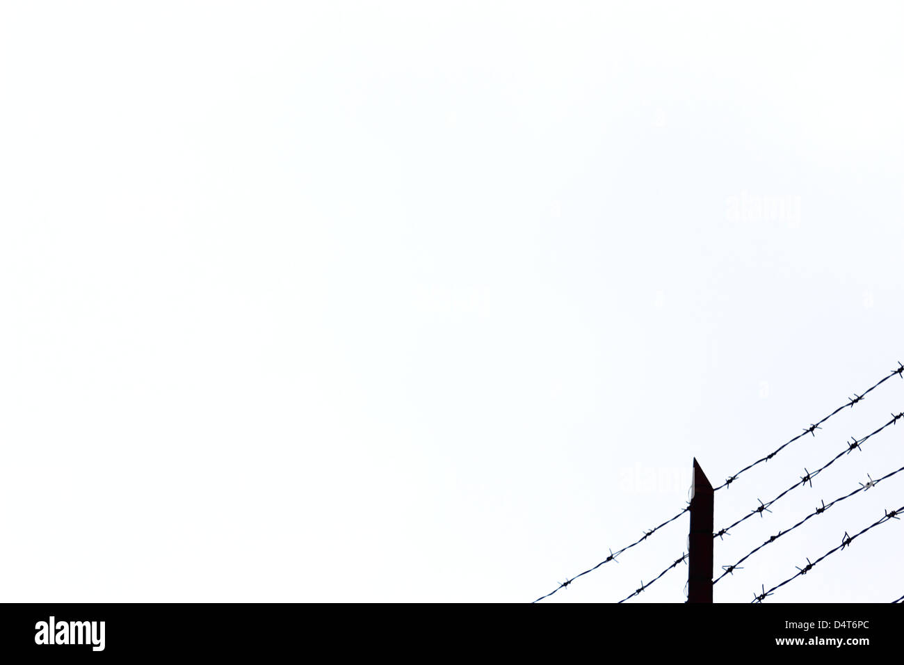 barbed wire on white background (european style Stock Photo - Alamy