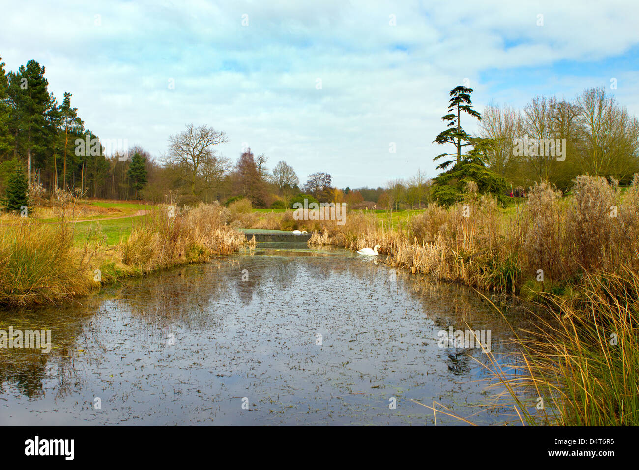 English countryside scene hi-res stock photography and images - Alamy