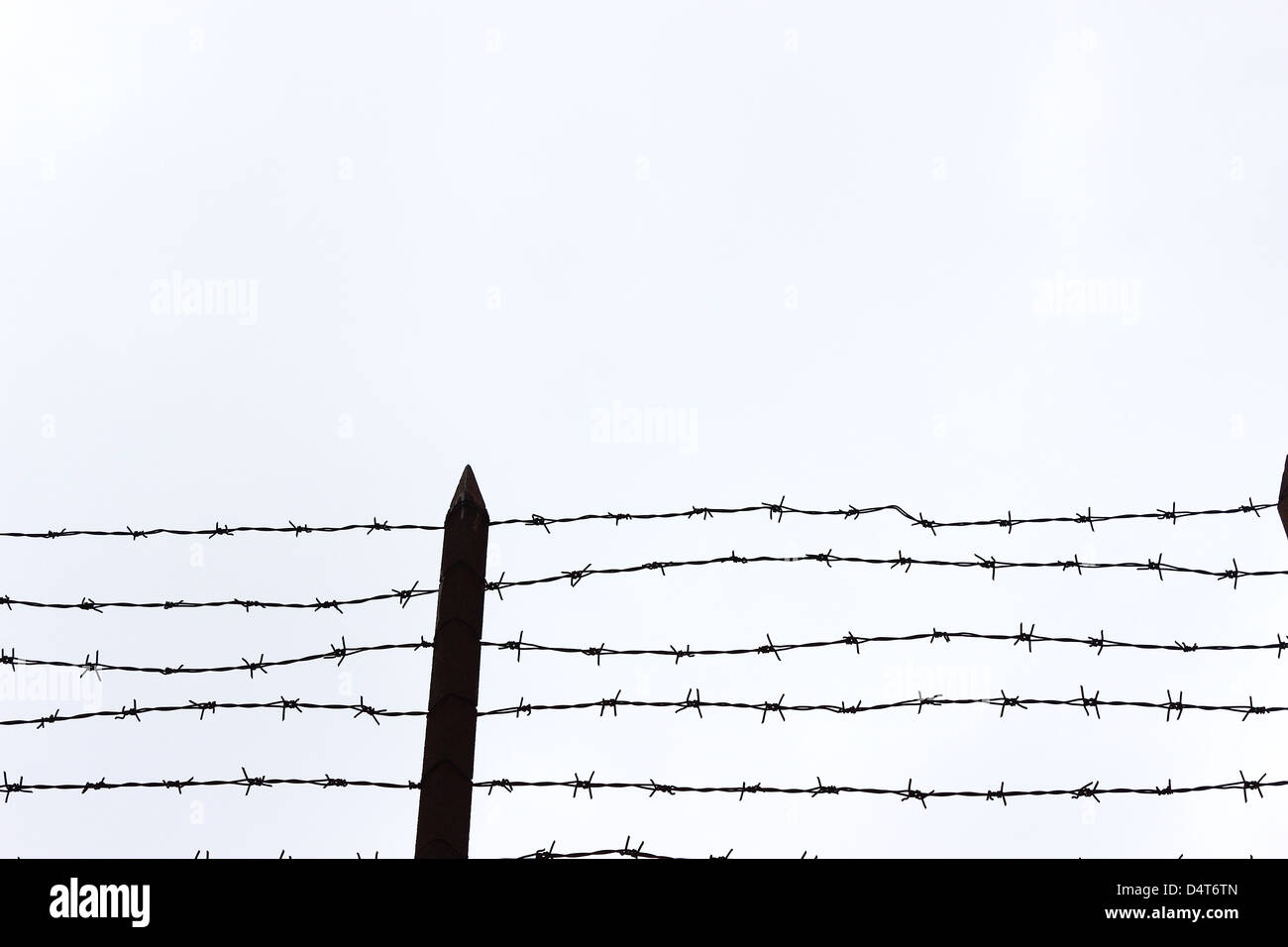 barbed wire on white background (european style Stock Photo - Alamy