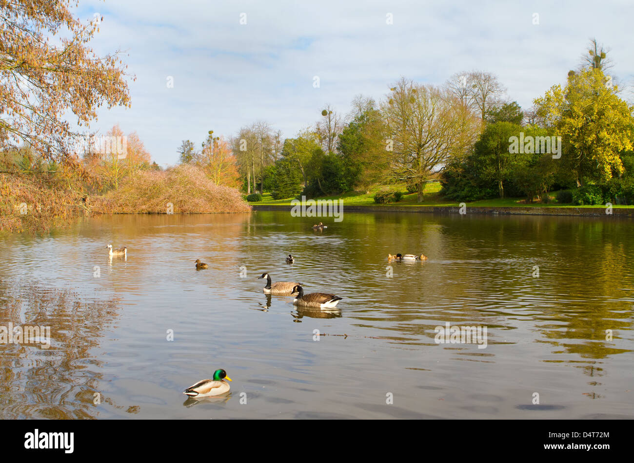Running grounds hi-res stock photography and images - Alamy