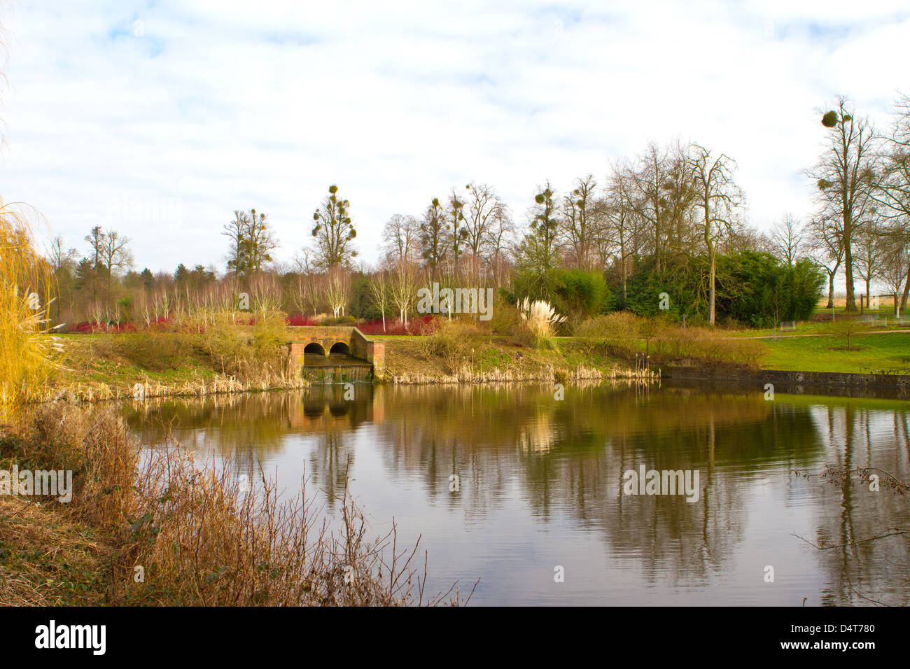 Marks Hall Estate, Braintree, Essex. A view inside the grounds on a ...