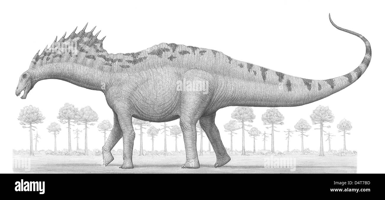 Amargasaurus