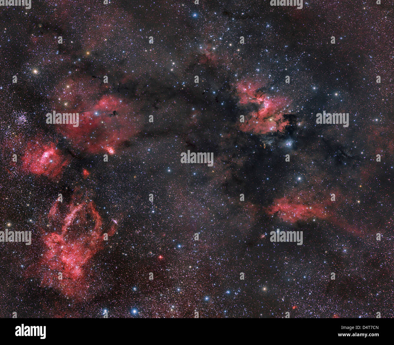 Lots of dust and gas nebulosity within the Cepheus constellation Stock ...