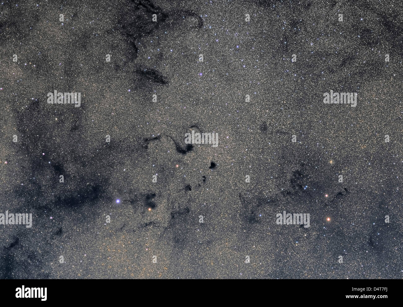 Dense globules hi-res stock photography and images - Alamy