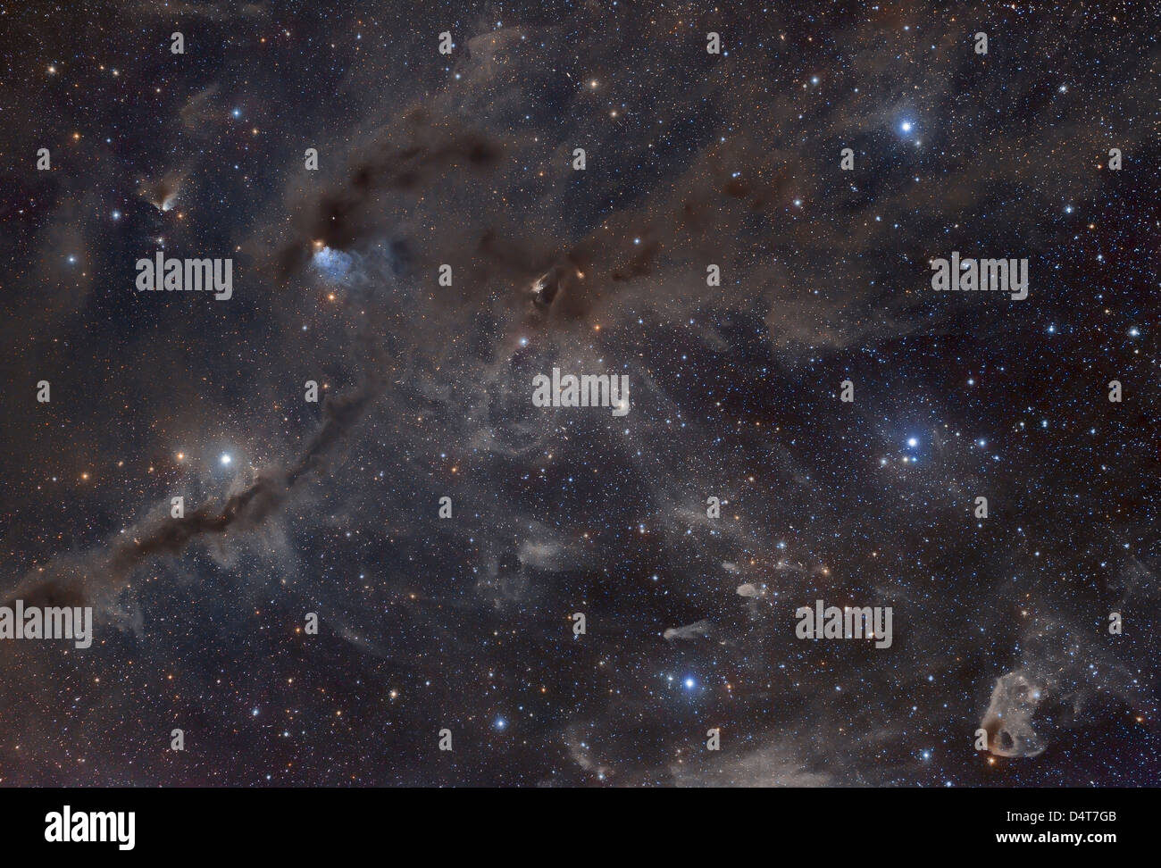 Wide field of the Taurus molecular cloud containing many wonderful dark ...