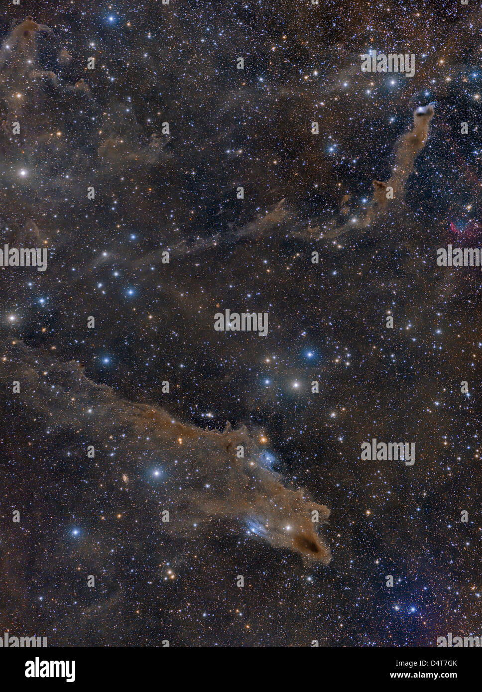 This field contains the dusty nebula vdb 150 in the Cepheus ...