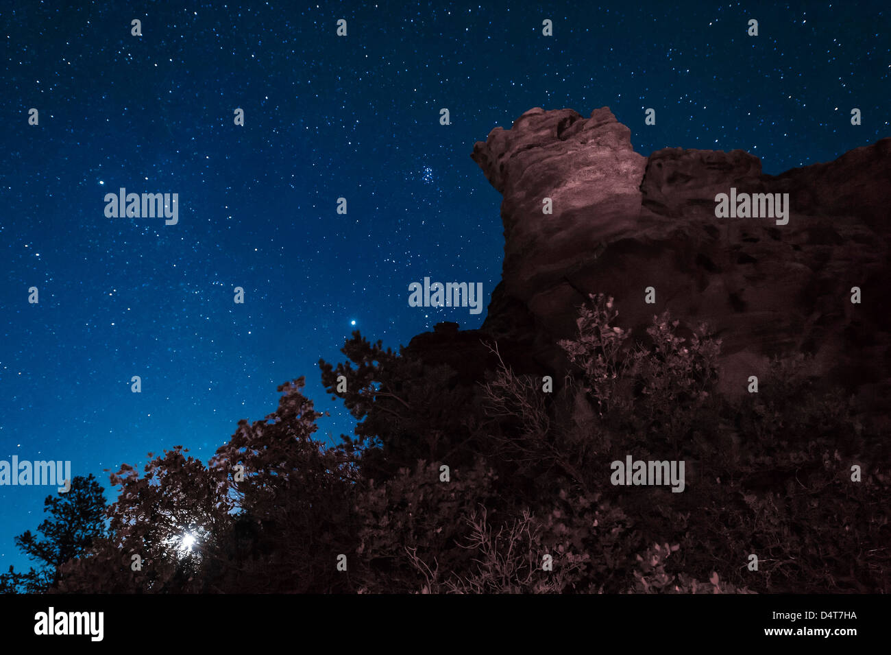 The moon rises through trees on a rocky cliff in Oklahoma, USA Stock ...