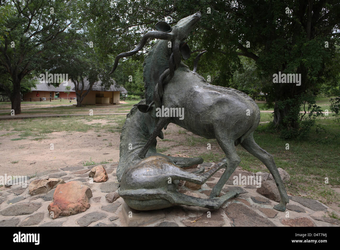 Jumping kudu hi-res stock photography and images - Alamy