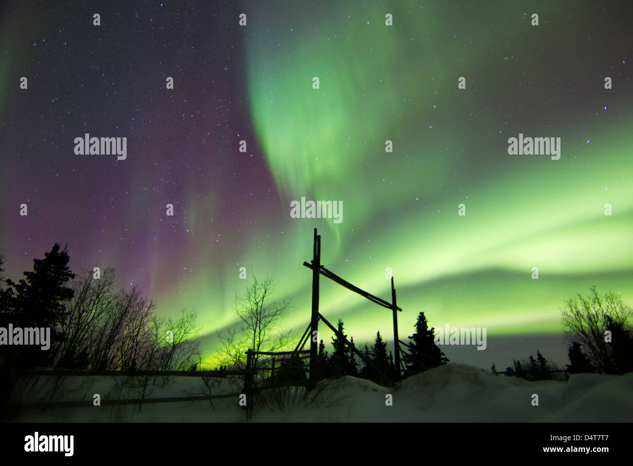Aurora Borealis over a ranch, Whitehorse, Yukon, Canada Stock Photo - Alamy