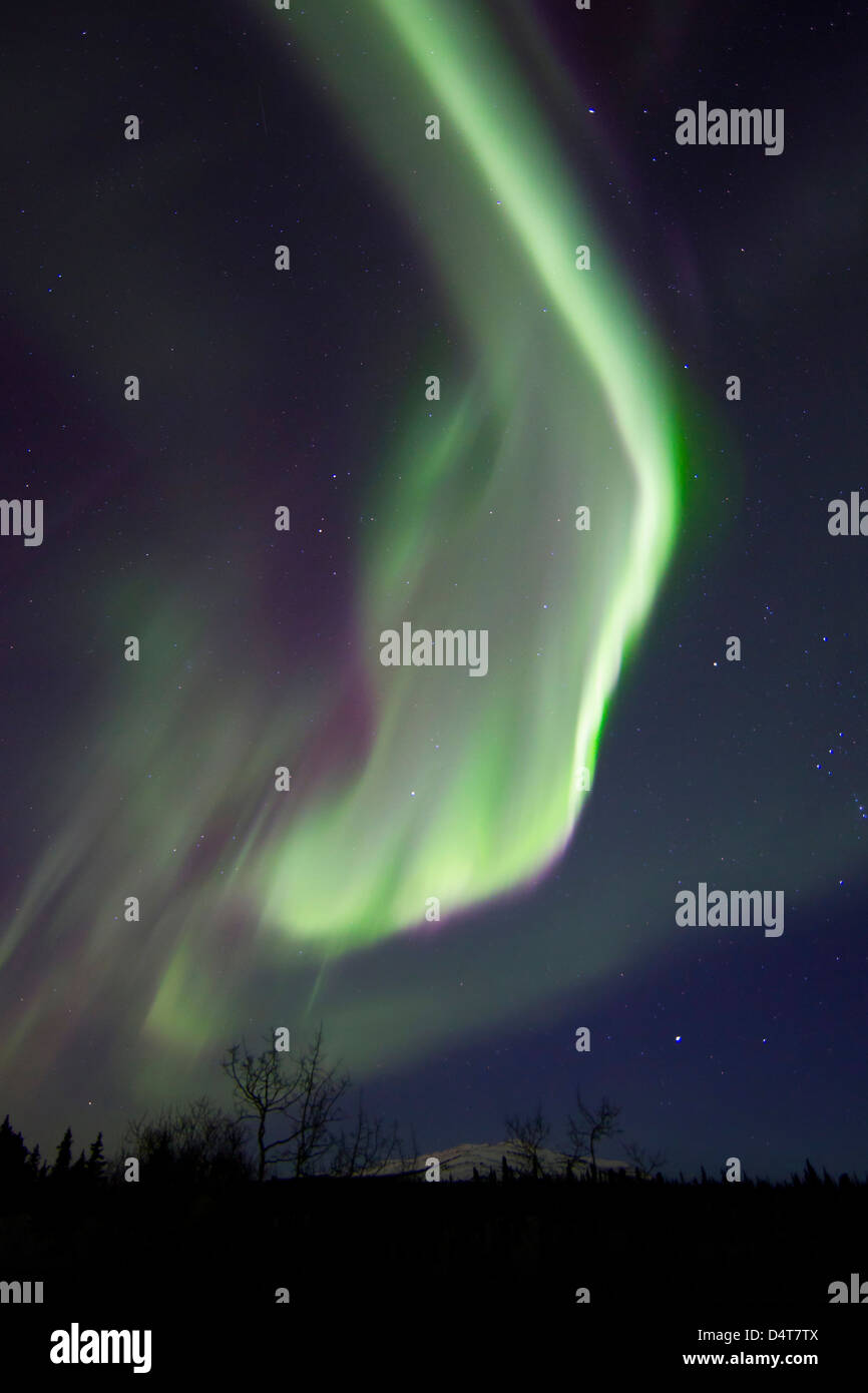 Aurora Borealis over Fish lake with Orion's Belt, Whitehorse, Yukon ...