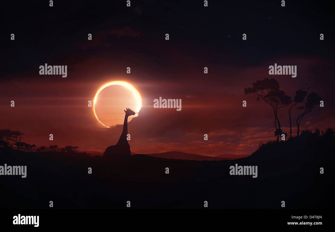 Solar eclipse over Africa Stock Photo - Alamy