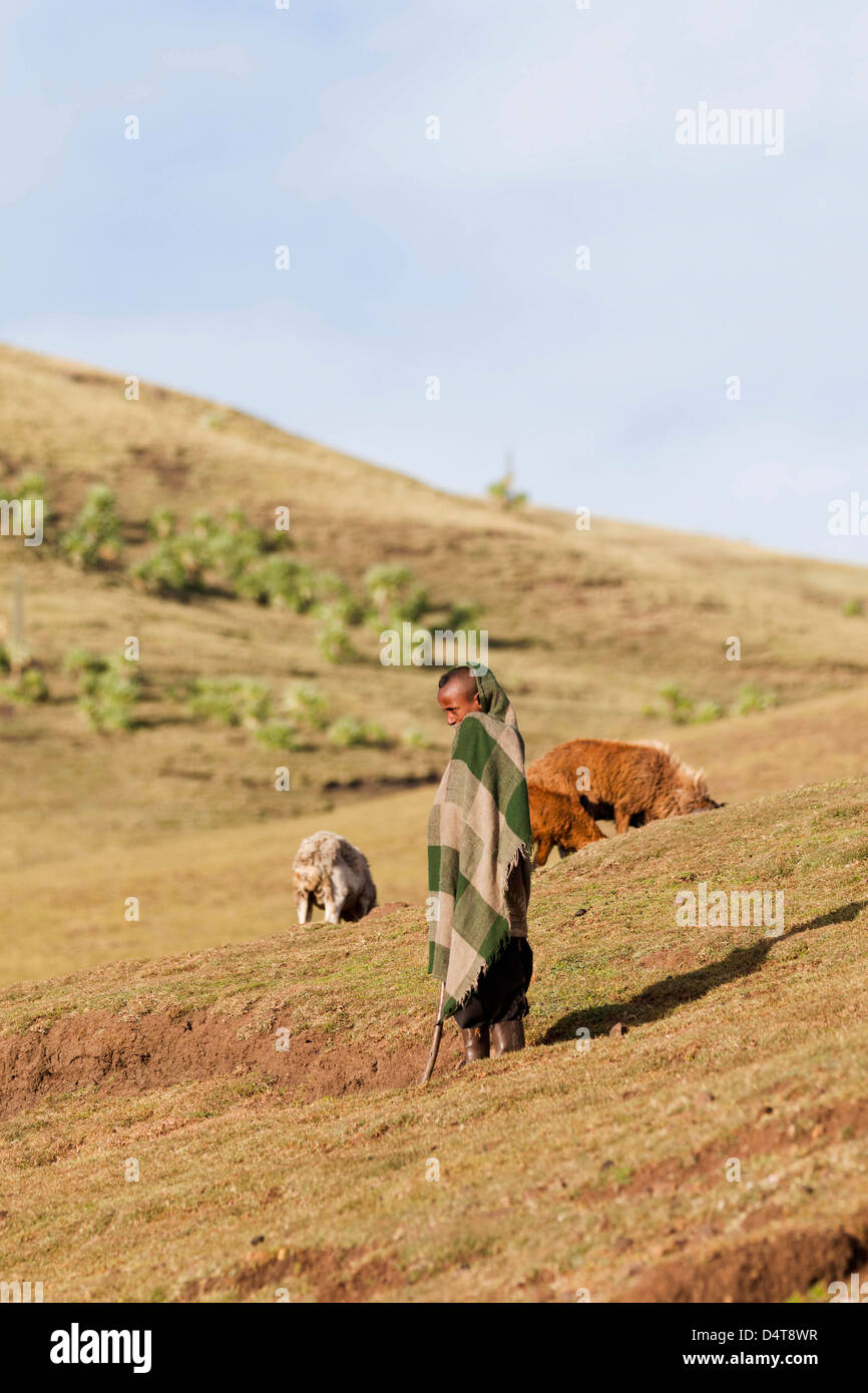 Abyssinia highlands hi-res stock photography and images - Alamy