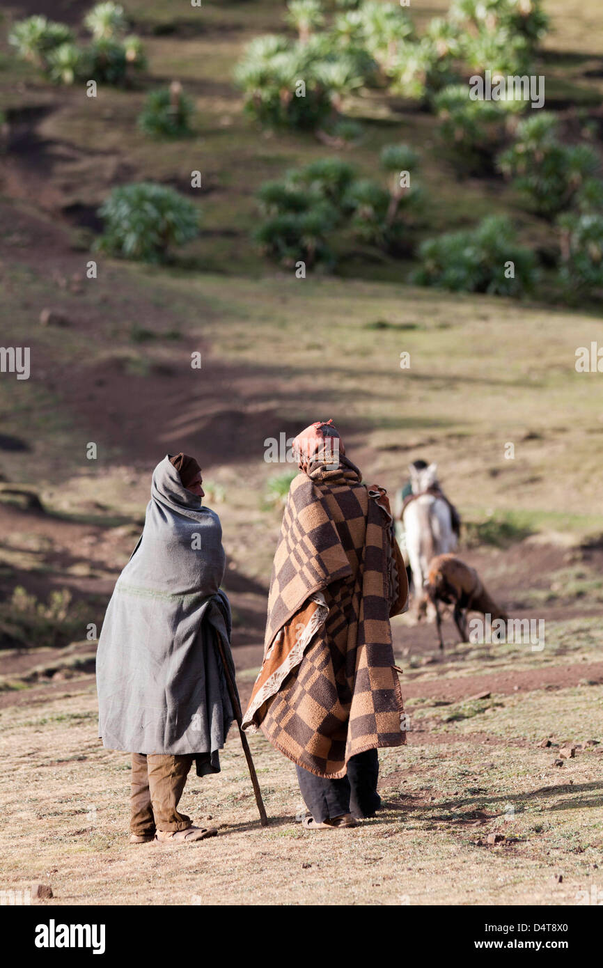 Abyssinia highlands hi-res stock photography and images - Alamy