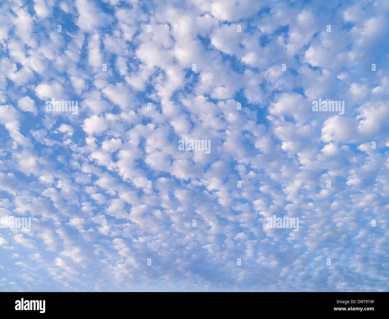 Altocumulus Clouds Pictures