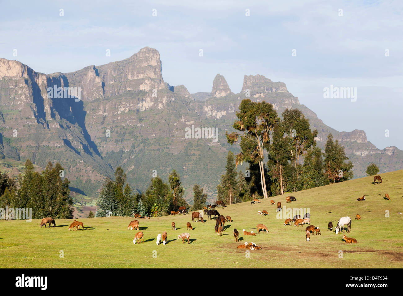 Abyssinia highlands hi-res stock photography and images - Alamy