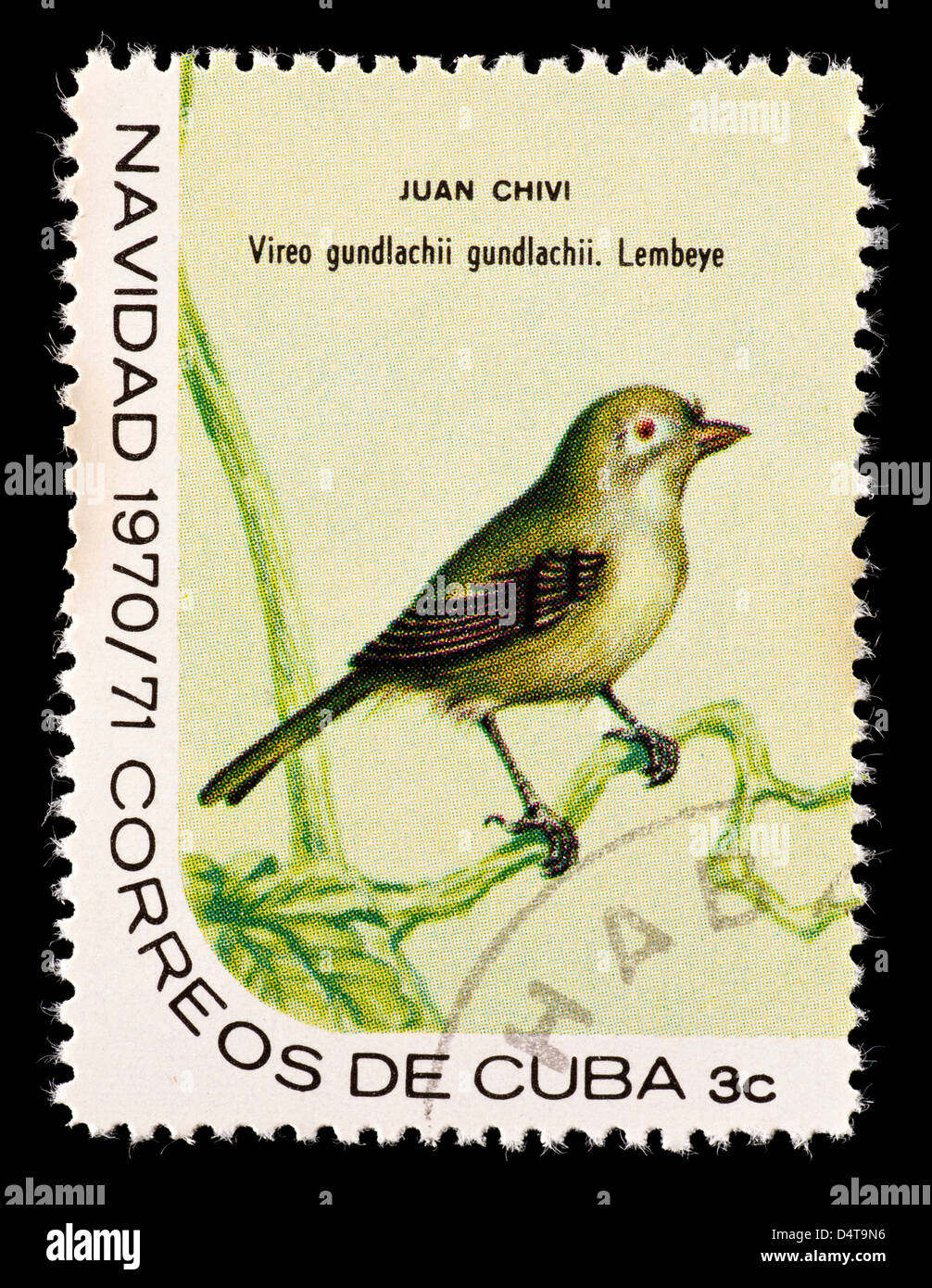 Postage stamp from Vireo depicting Cuban Vireo (Vireo gundlachii Stock ...