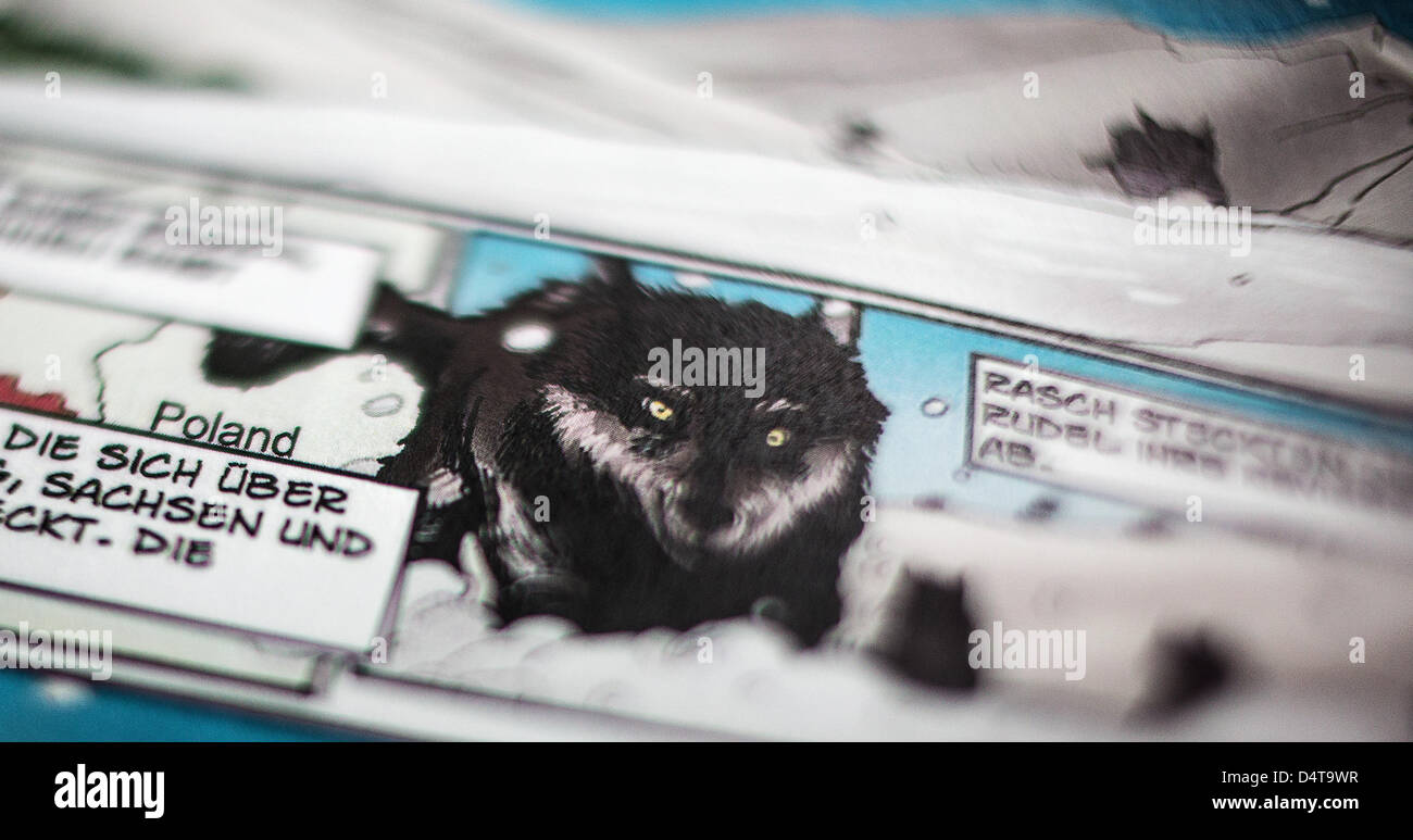 A part of a comic about wolves in Brandenburg designed for the regional ...
