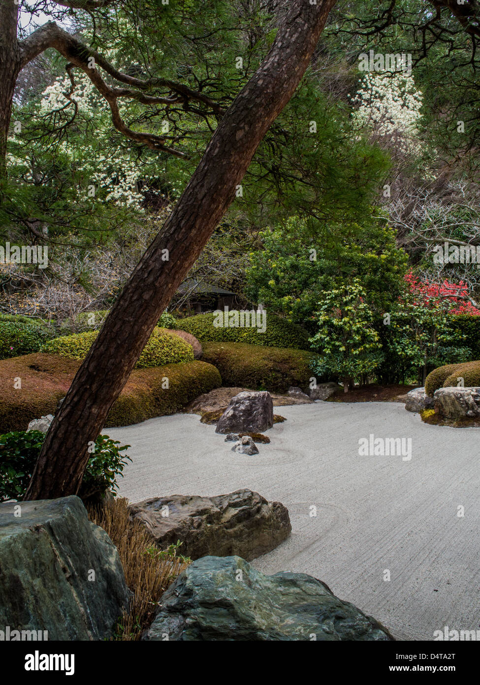 Karesansui dry landscape garden at Meigetsuin Temple, Kamakura, Japan ...