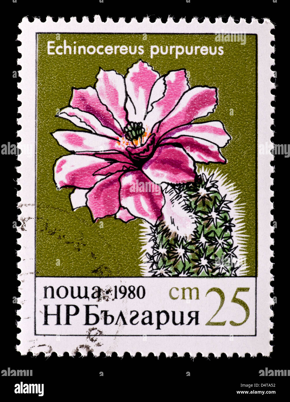Postage stamp from Bulgaria depicting a Strawberry Hedgehog Cactus ...