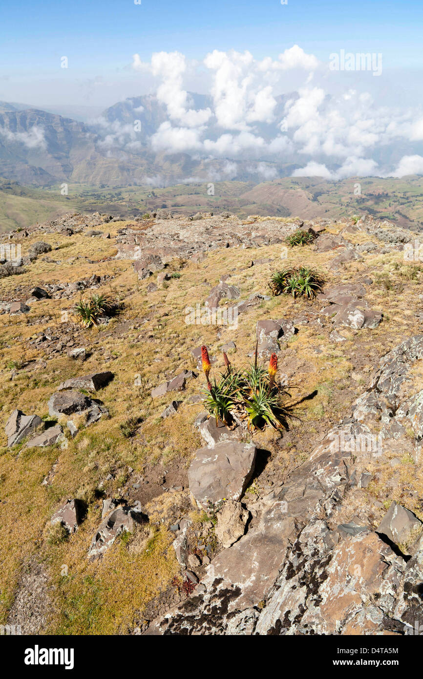 Landscape in the Semien Mountains National Park, Ethiopia Stock Photo ...