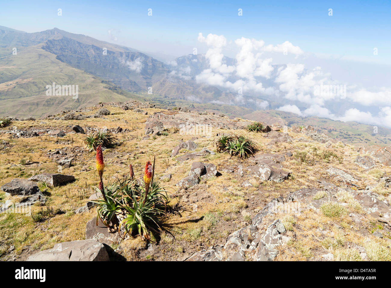 Landscape in the Semien Mountains National Park, Ethiopia Stock Photo ...