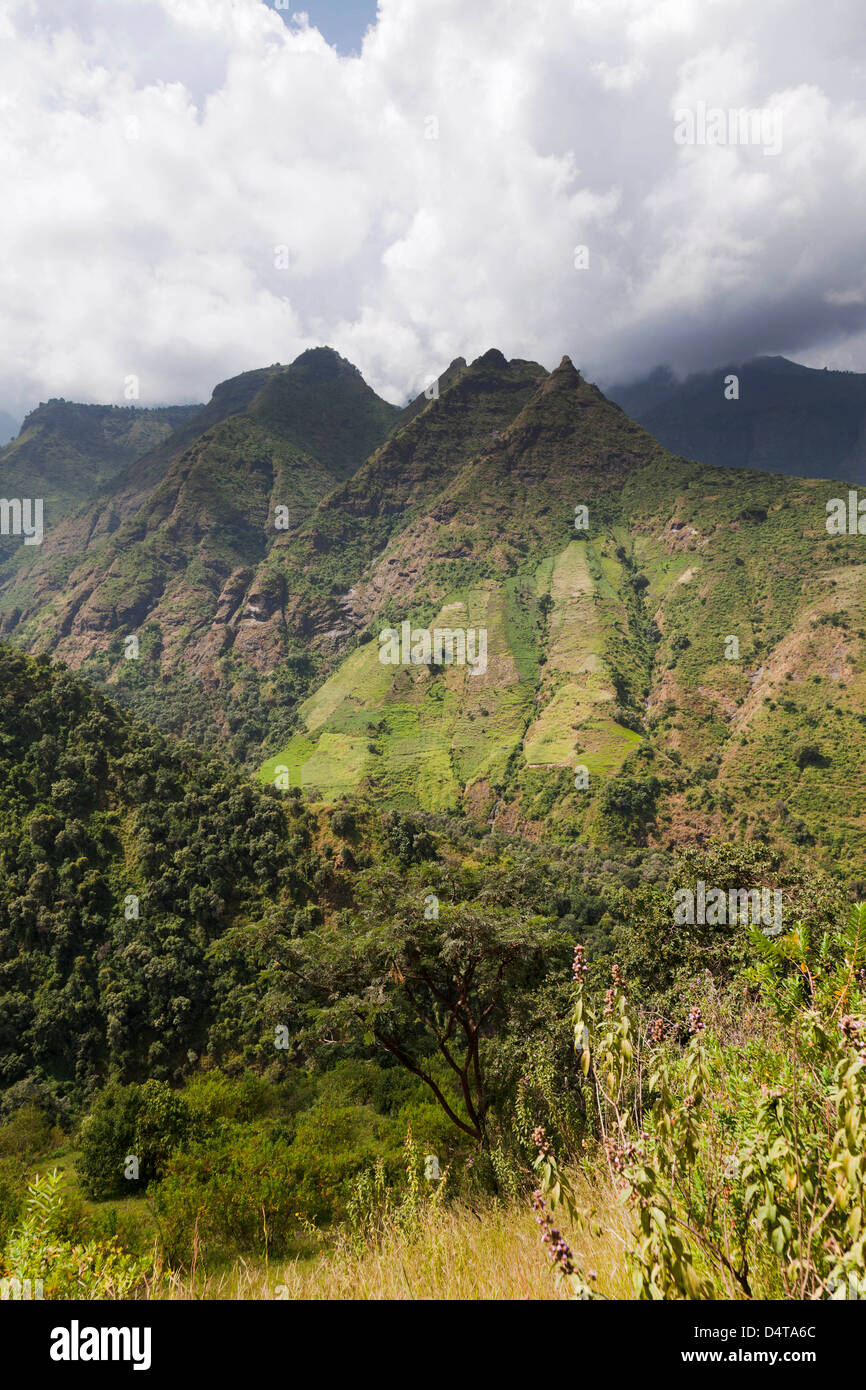 Landscape in the Semien Mountains National Park, Ethiopia Stock Photo ...