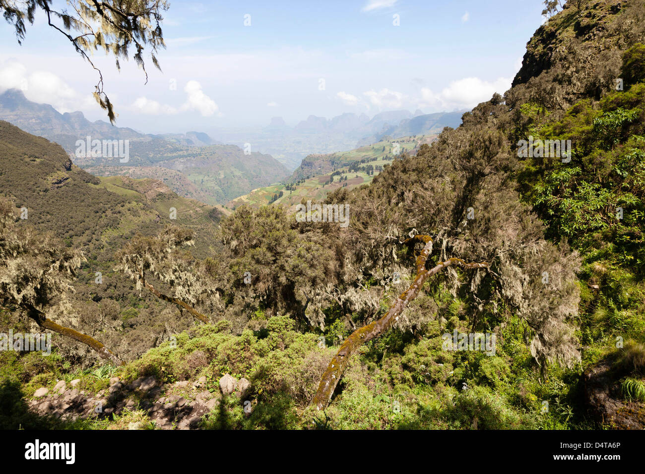 Landscape in the Semien Mountains National Park, Ethiopia Stock Photo ...