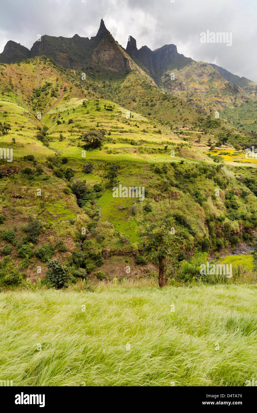 Landscape near the Escarpment of the Semien Mountains, Ethiopia Stock ...