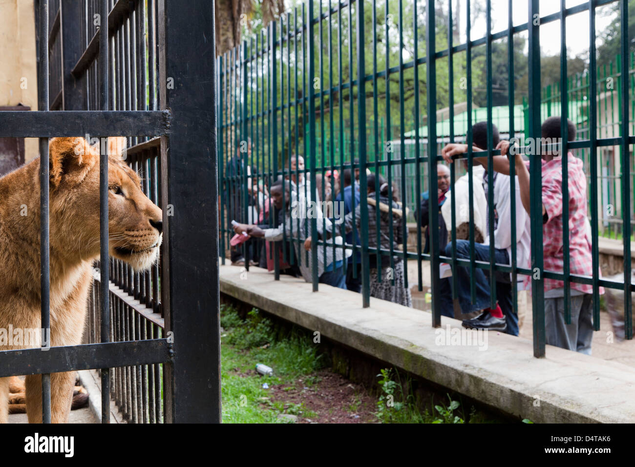 Addis abeba bar hi-res stock photography and images - Alamy