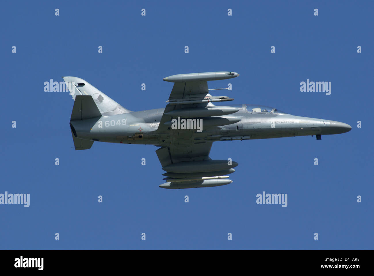 159 alca hi-res stock photography and images - Alamy