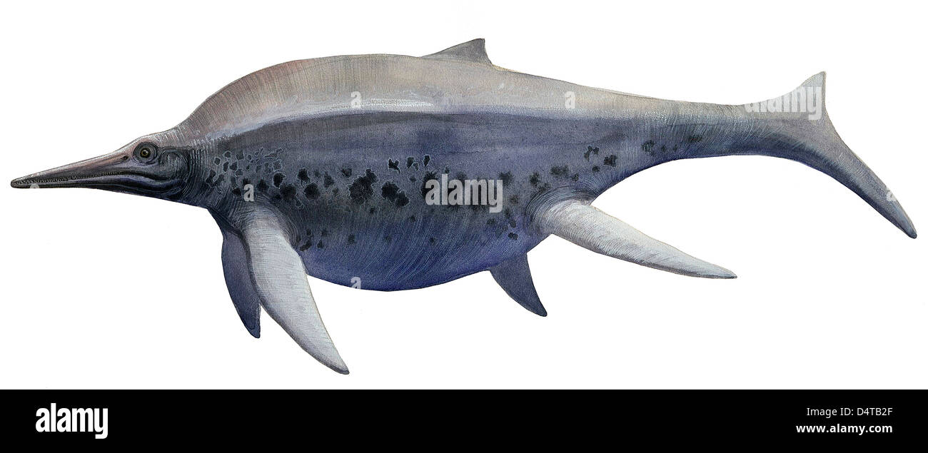 Ichthyosaur hi-res stock photography and images - Alamy