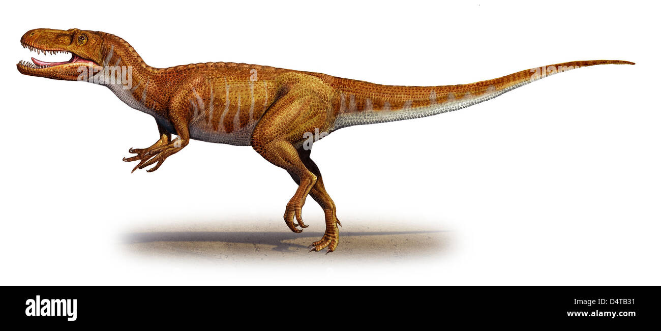 Dinosaur King Afrovenator