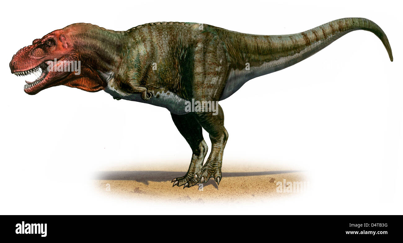 Side view tyrannosaurus rex dinosaur hi-res stock photography and images - Alamy