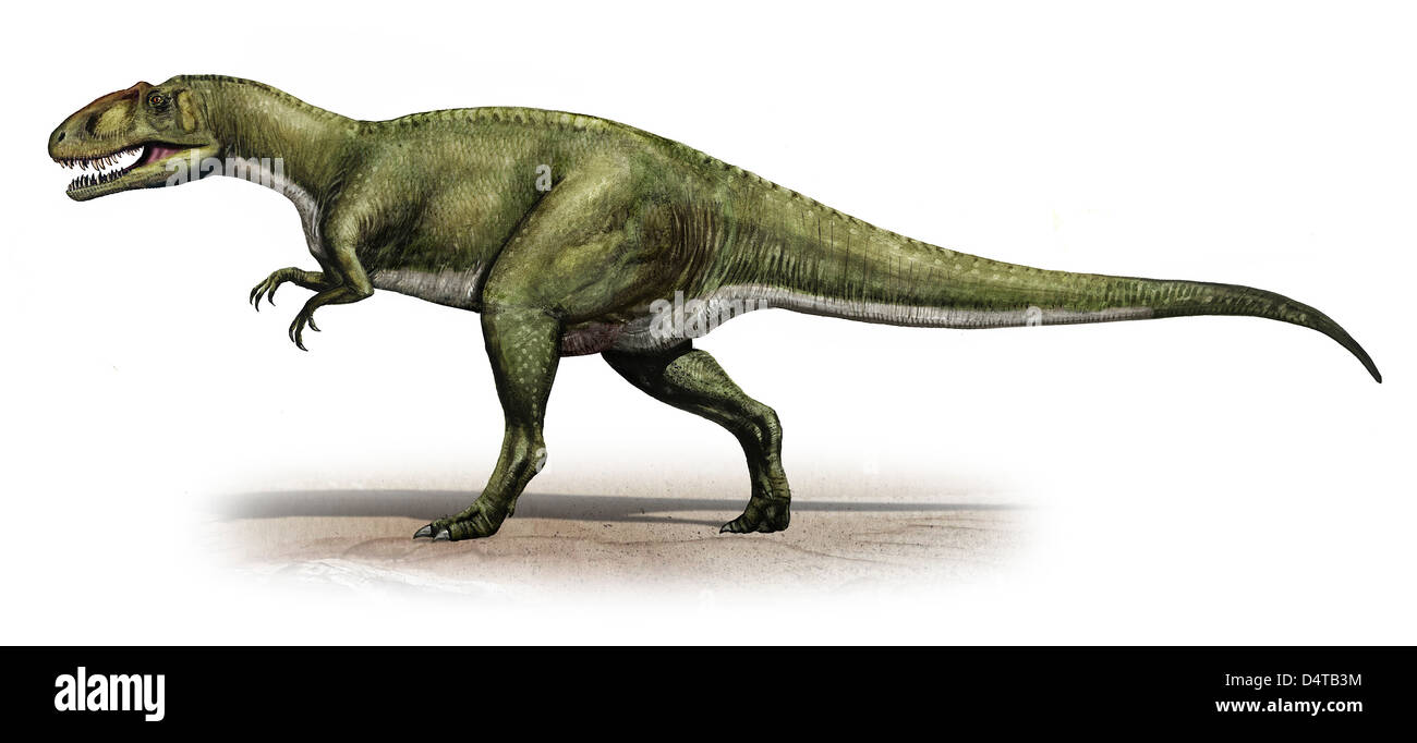 Sinraptor dongi, a prehistoric era dinosaur from the Late Jurassic ...