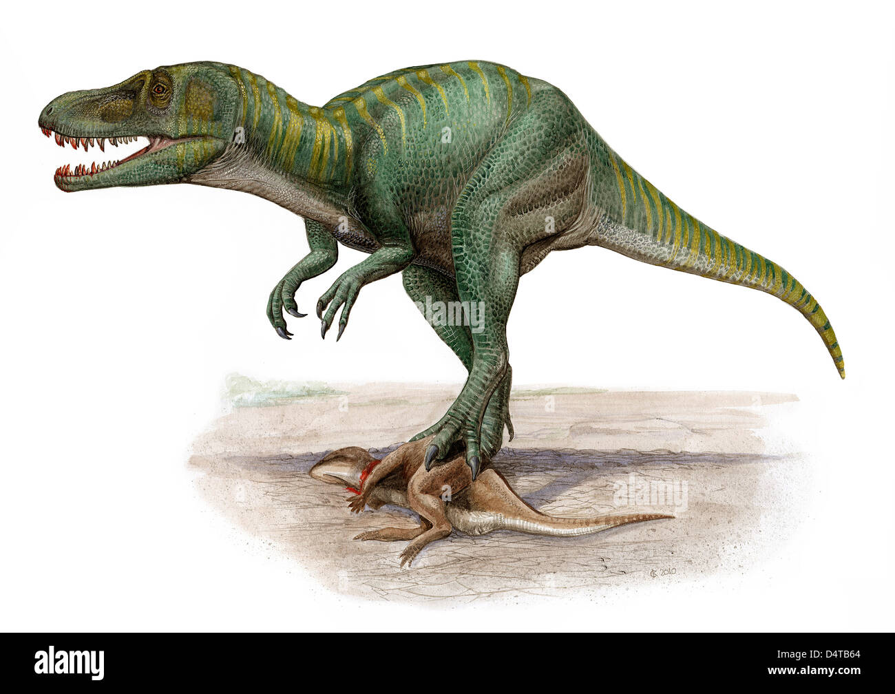 Marshosaurus bicentesimus, a prehistoric era dinosaur from the Jurassic ...
