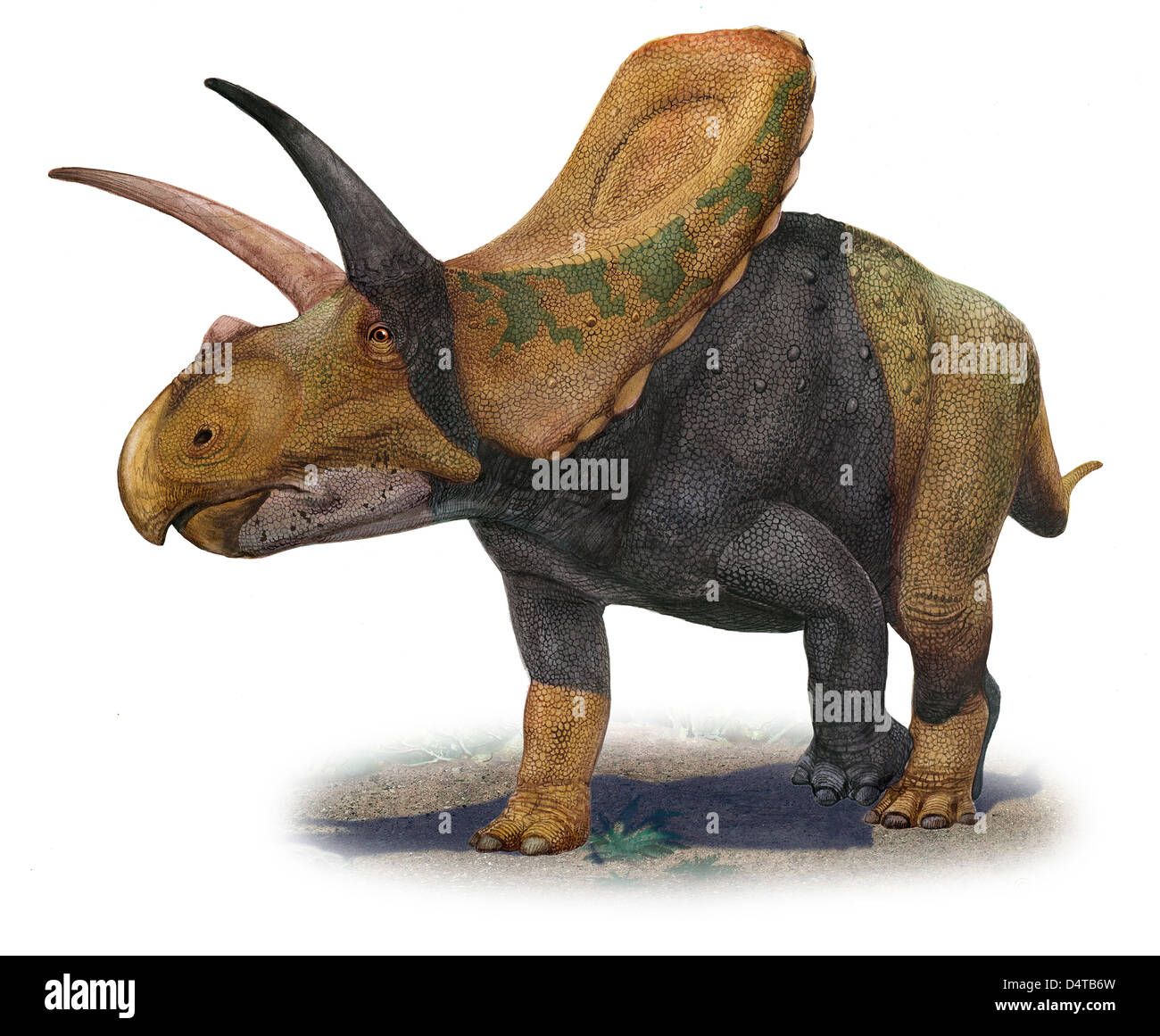 Dinosaur King Torosaurus