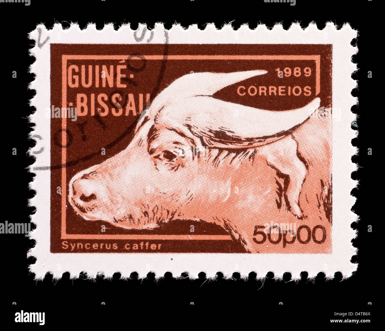 Postage stamp from Guinea-Bissau depicting a African Cape buffalo ...